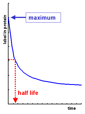 Untitled Document [david-bender.co.uk]